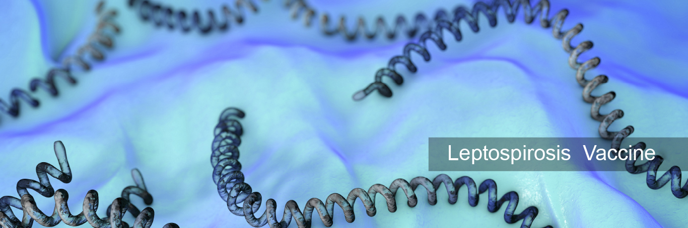 Chula Vaccine Research Center (Chula VRC) - School of Global Health ...